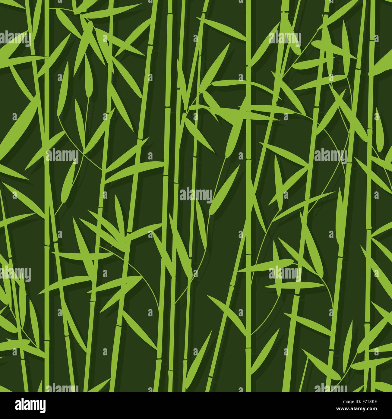 Bamboo forest drawing hi-res stock photography and images - Alamy
