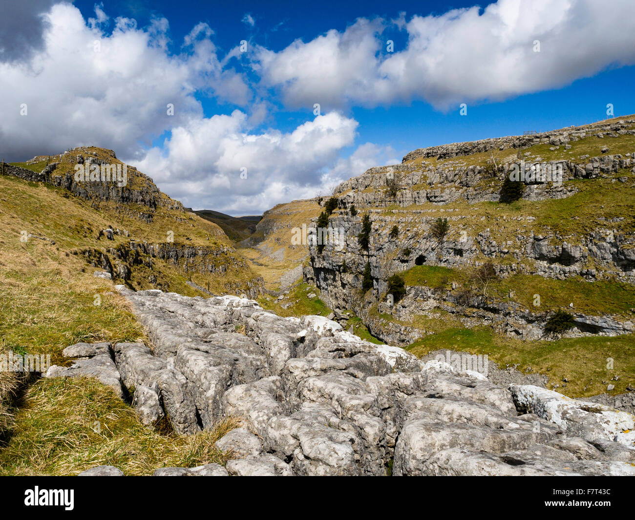 Exposed limestone pavement and cliffs of Gordale Scar Stock Photo - Alamy