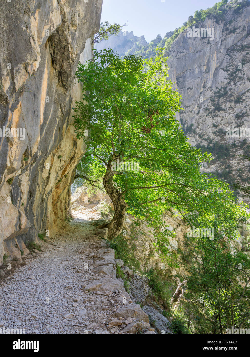 Hiking path through the Cares Gorge, Picos de Europa National Park ...