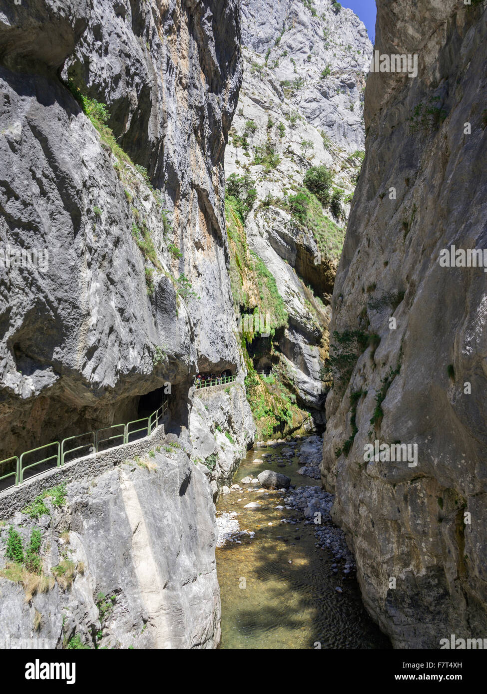 Hiking path cut into the rock, Cares Gorge, Picos de Europa National ...