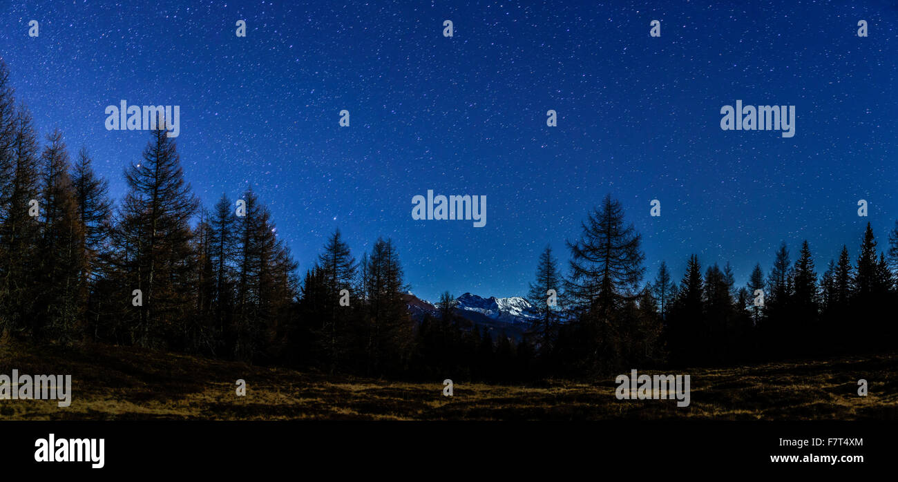 Stars behind the trees hi-res stock photography and images - Alamy