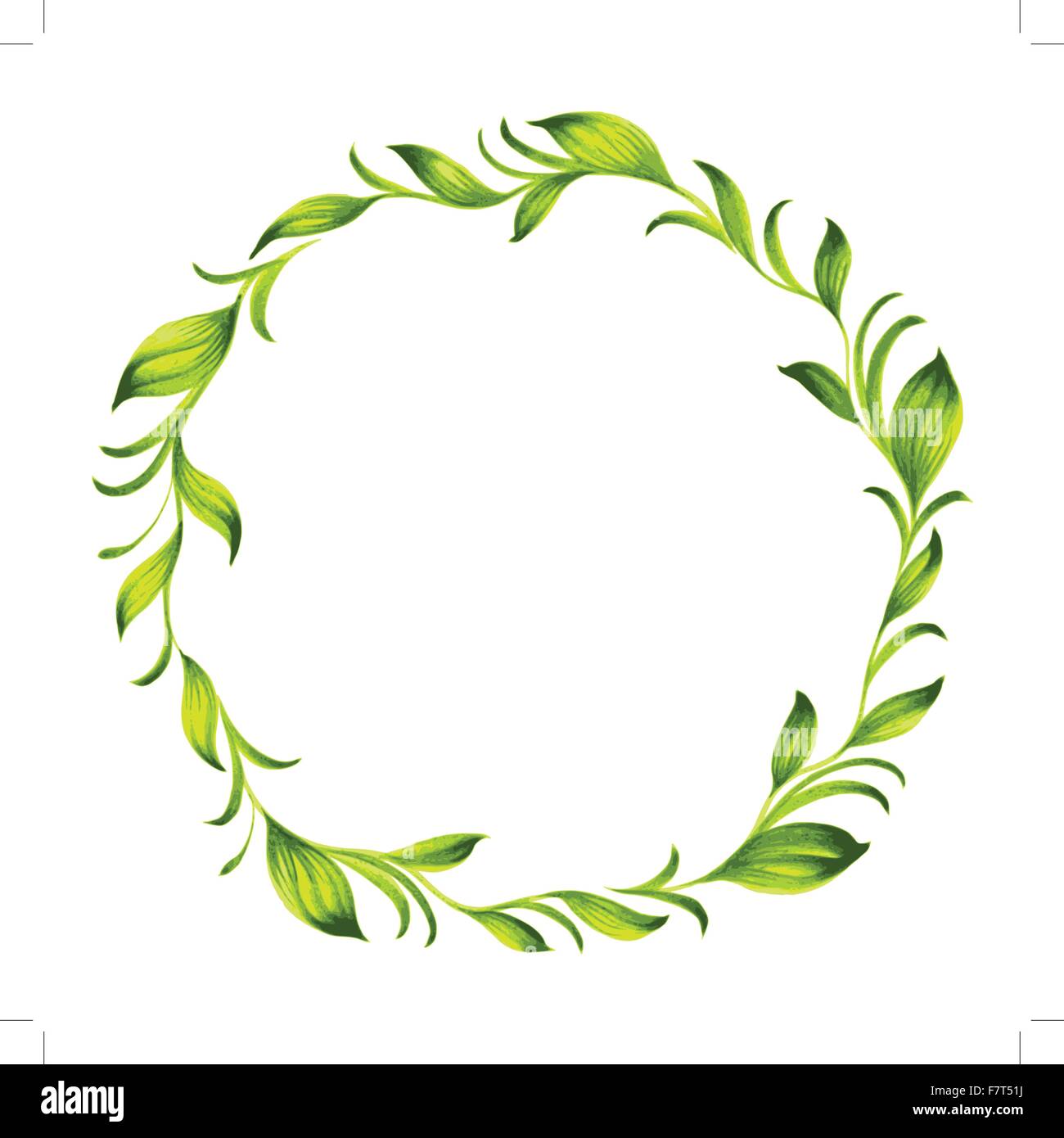 decorative circle branch of green tea Stock Vector Image & Art - Alamy