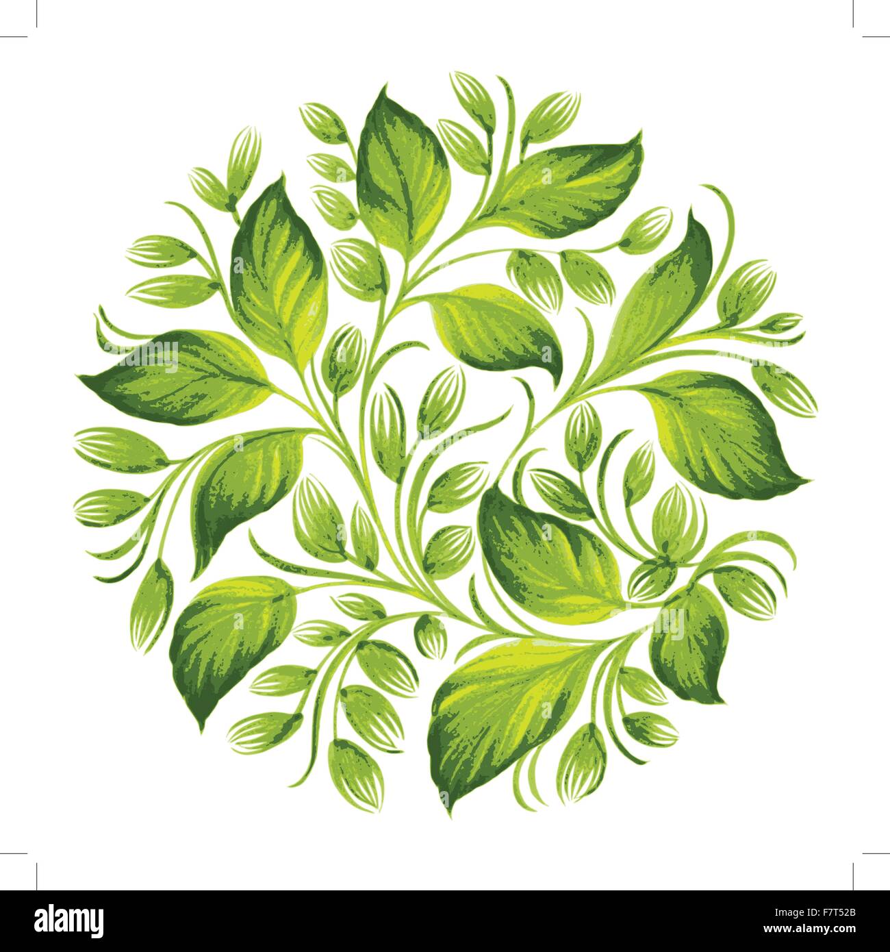 Herbal composition Stock Vector Images - Alamy