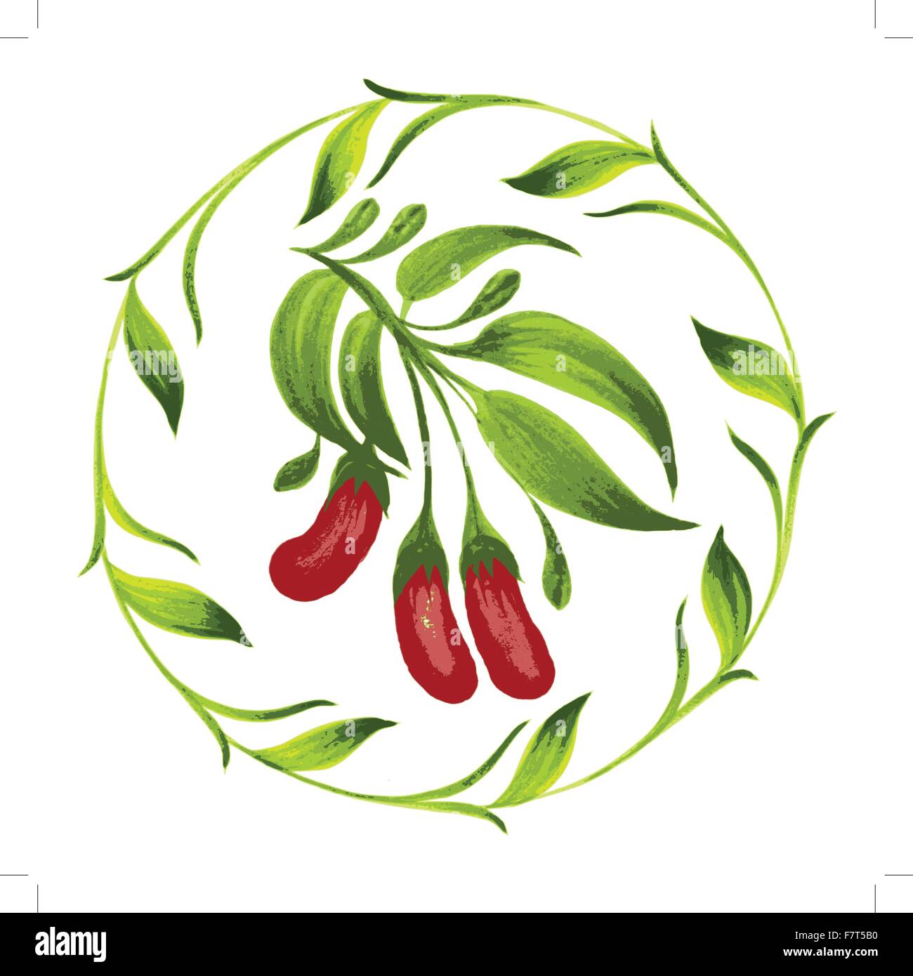Beautiful red berries Stock Vector Images - Alamy