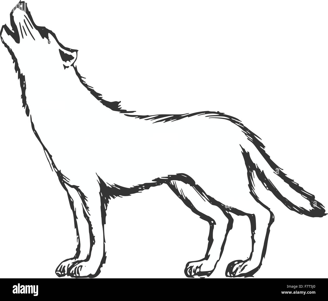 Wolf sketch cartoon hi-res stock photography and images - Alamy