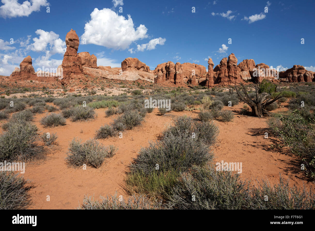 Stone pinnacles national park hi-res stock photography and images - Alamy