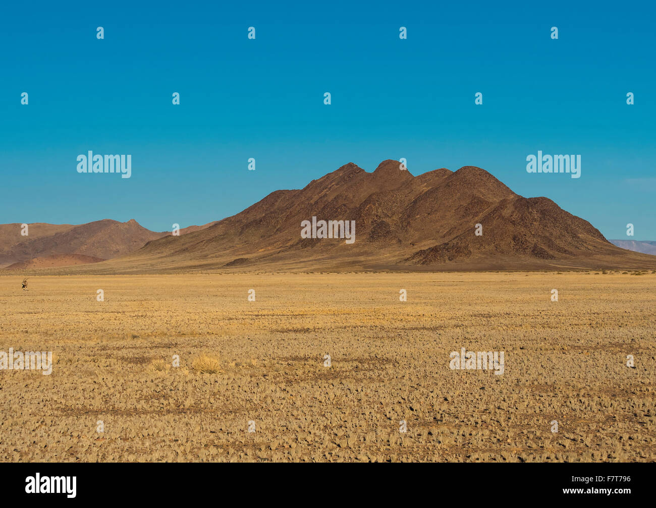 Mountain ridge in Kulala Wilderness Reserve on the edge of the Namib ...