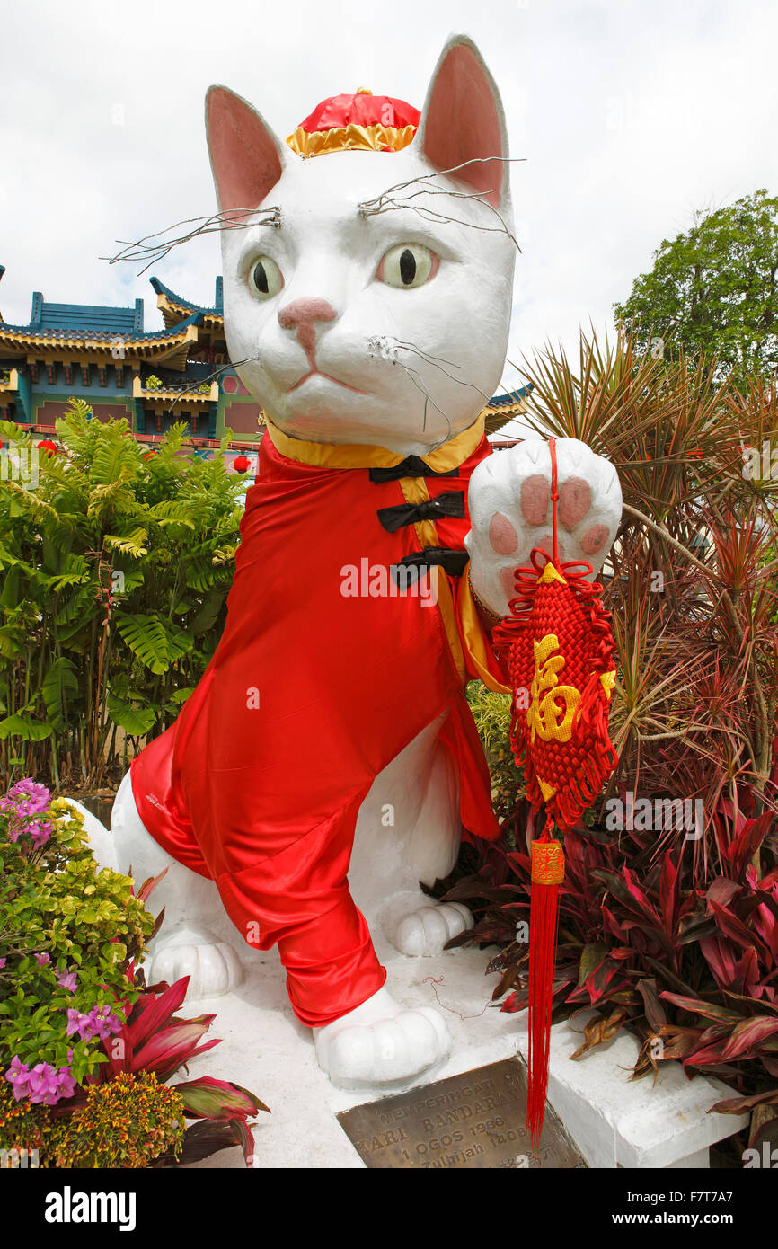 Pix Of Cats In Borneo