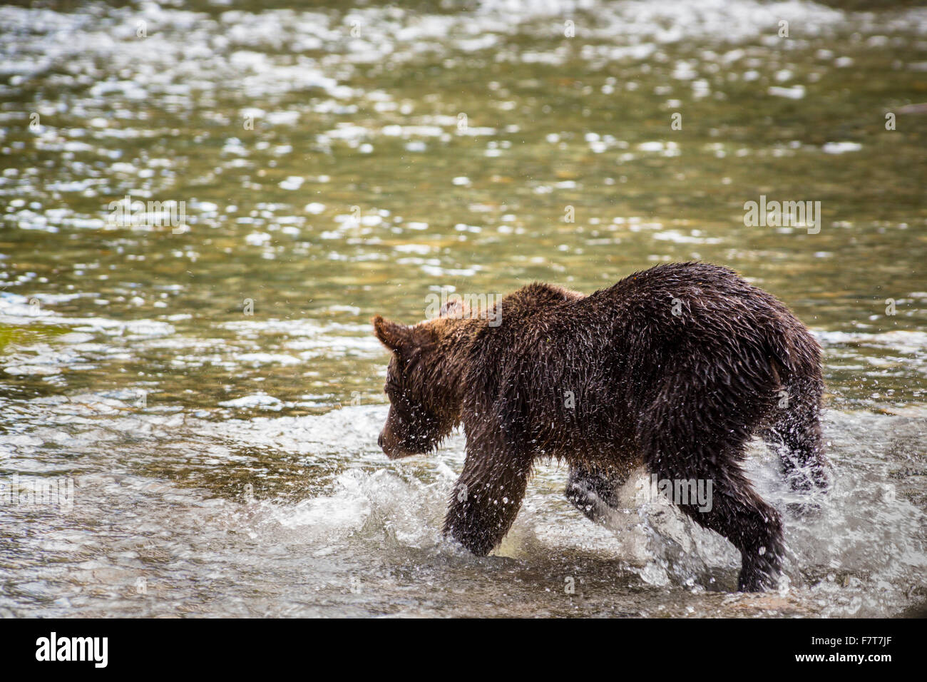Orford river canada hi-res stock photography and images - Alamy