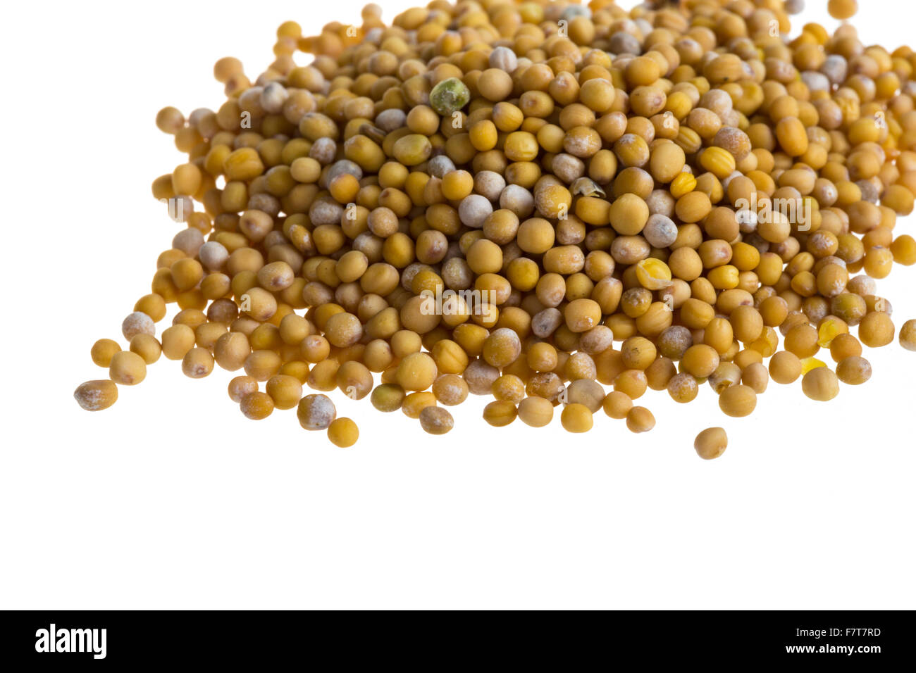 yellow mustard seeds Stock Photo - Alamy