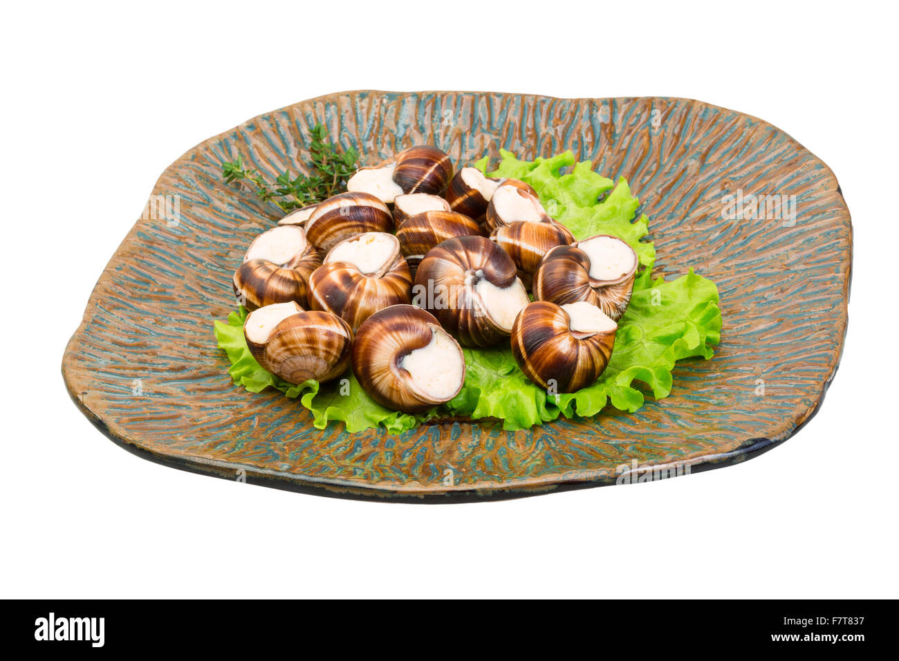 Escargot with cheese sauce Stock Photo - Alamy