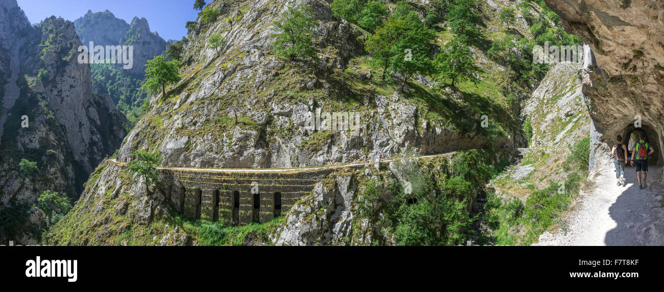 Hiking path through the Cares Gorge, Picos de Europa National Park ...