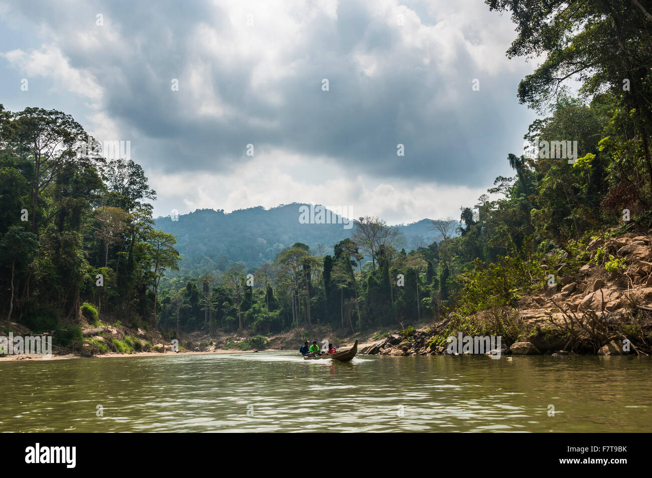 Taman negara rainforest High Resolution Stock Photography and Images ...