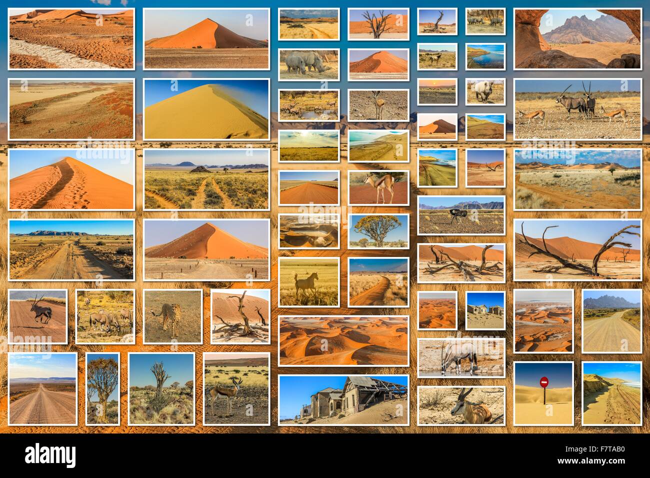 African desert collage hi-res stock photography and images - Alamy