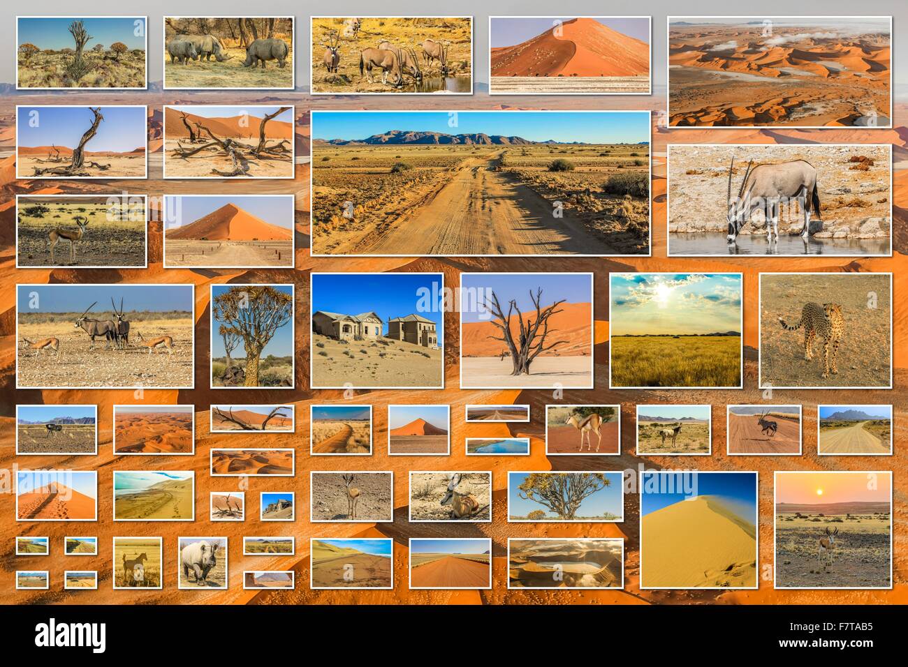 Desert pictures collage Stock Photo - Alamy