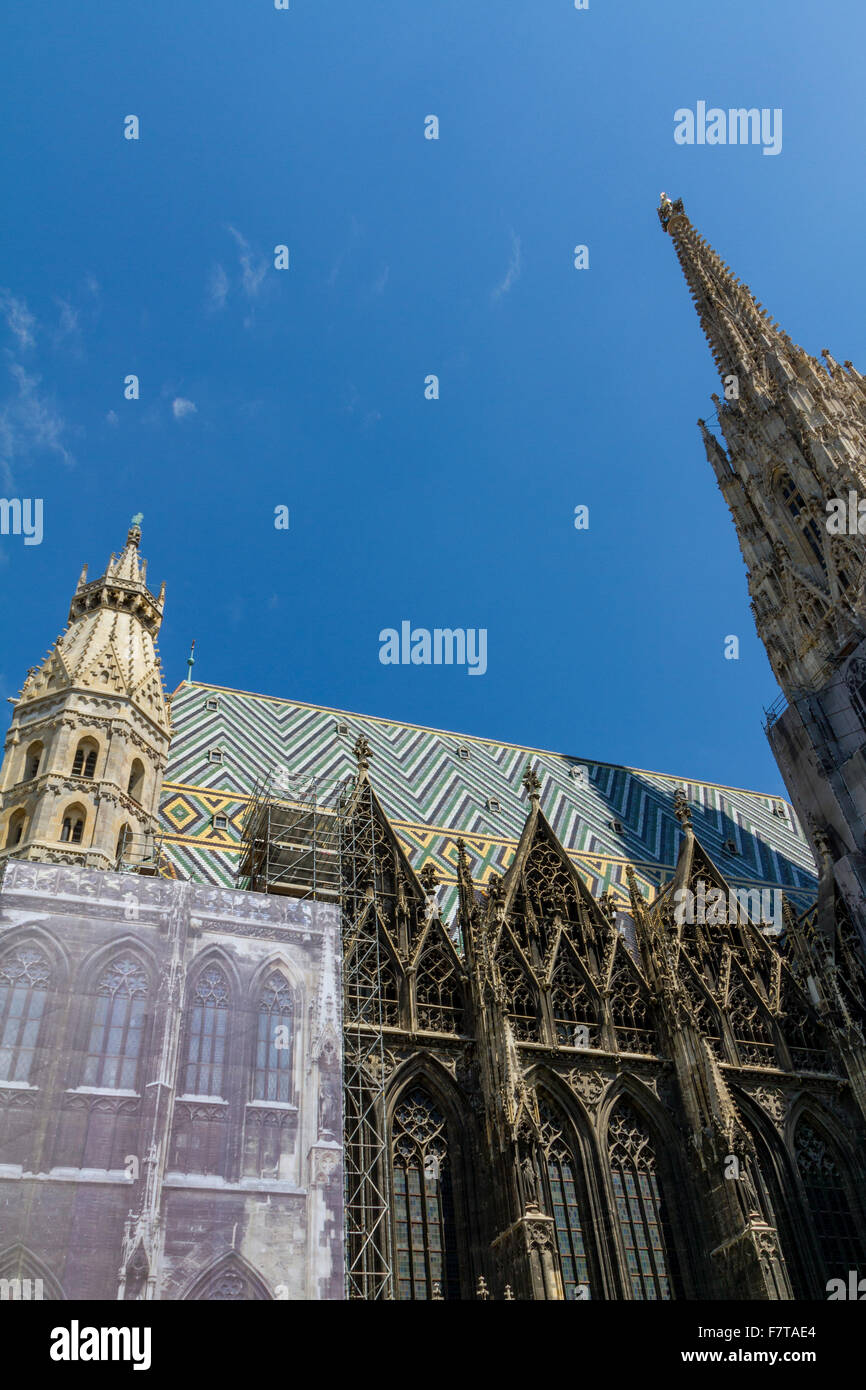 St. Stephan cathedral in center of Vienna, Austria Stock Photo - Alamy