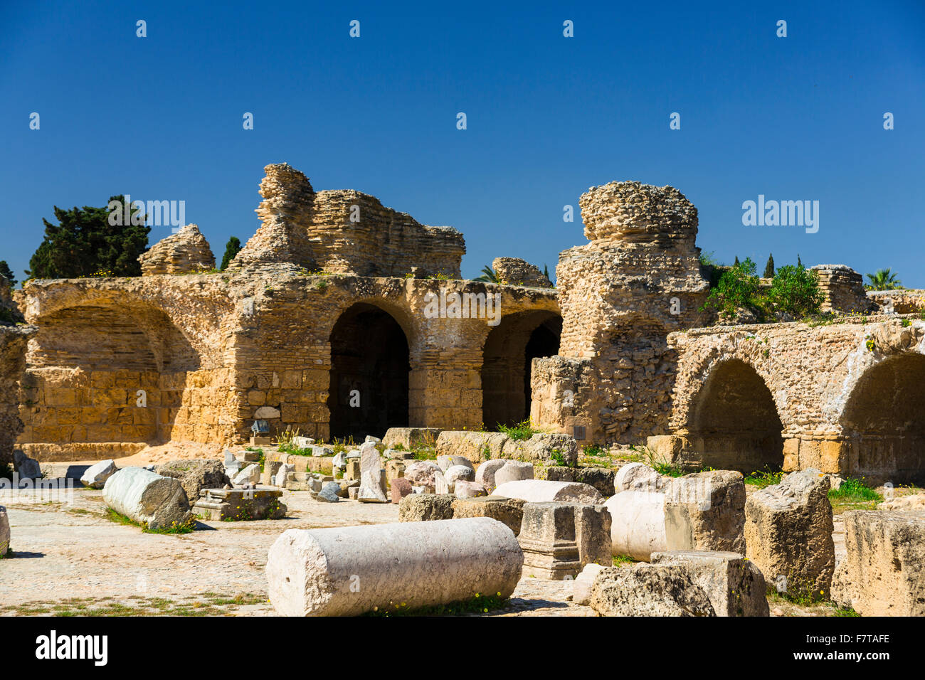 Old Carthage ruins in Tunisia Stock Photo - Alamy