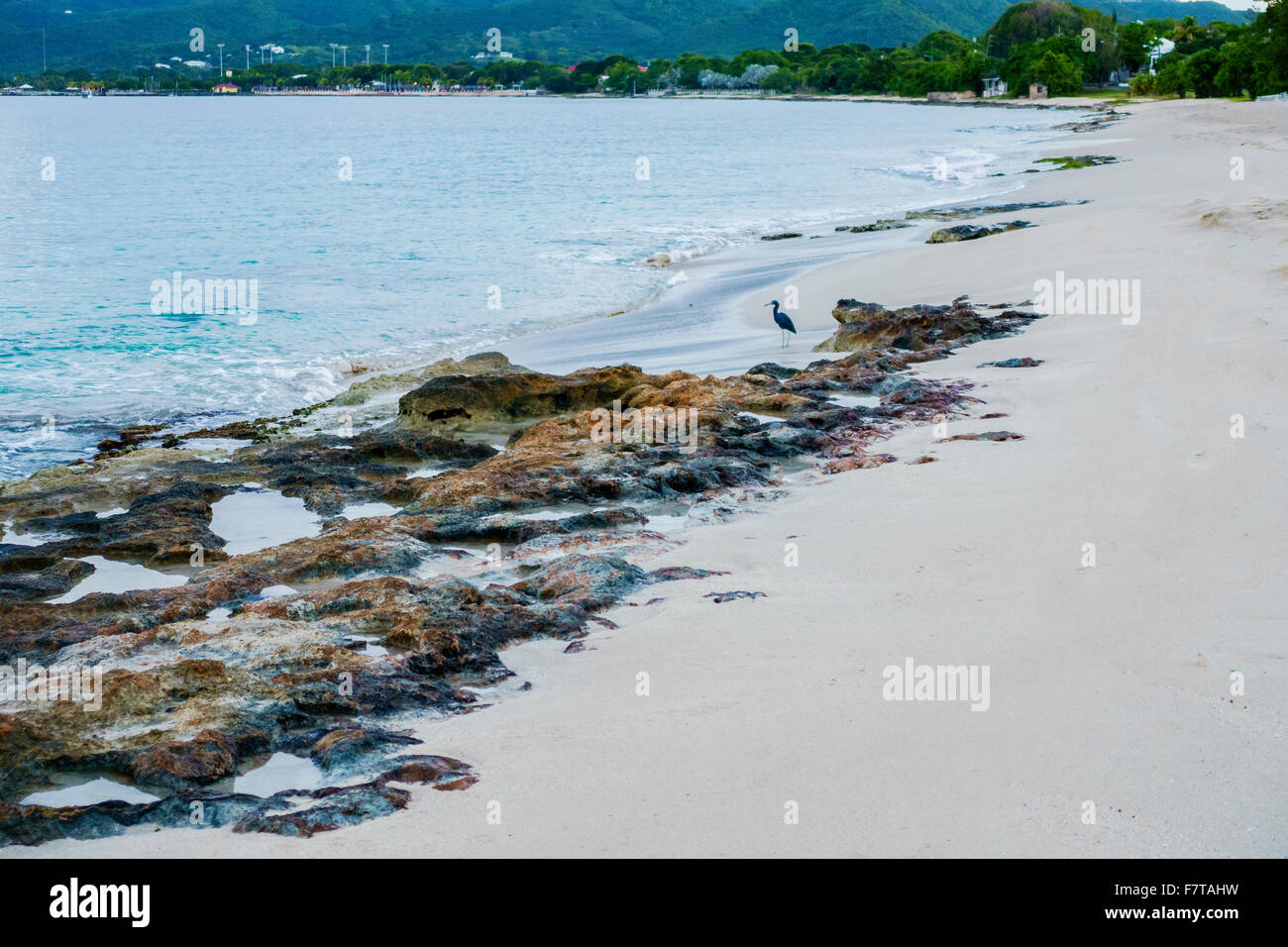 Sandcastle beach looking east toward Frederiksted on the island of St ...