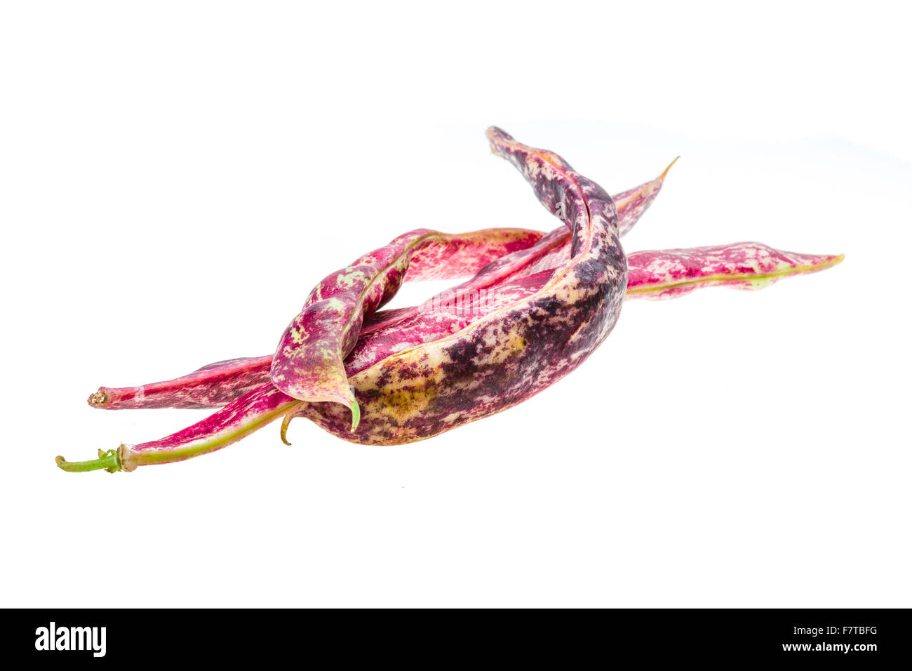 Red bean pod Stock Photo - Alamy