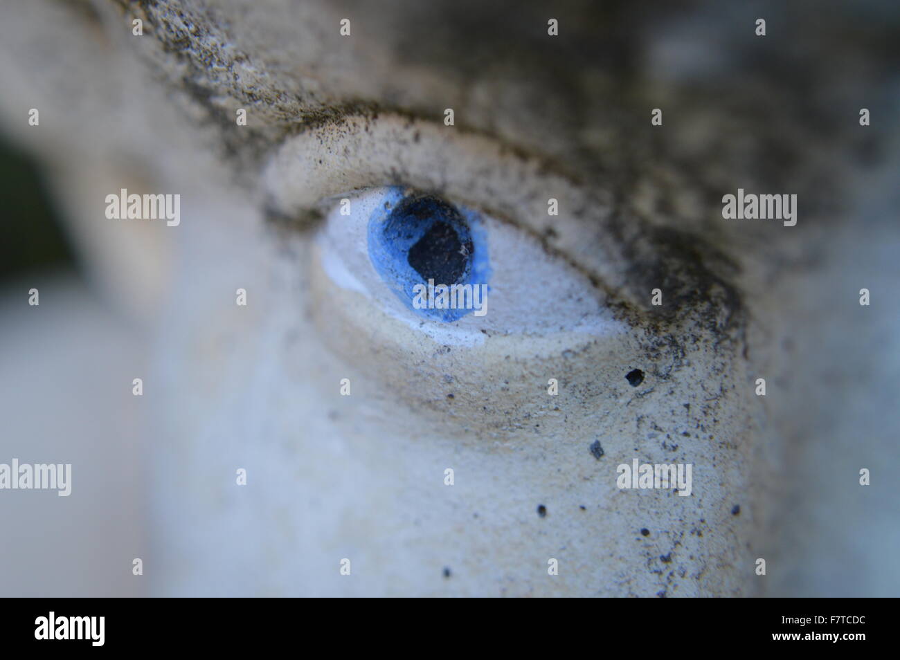 Eyelid Window High Resolution Stock Photography and Images - Alamy