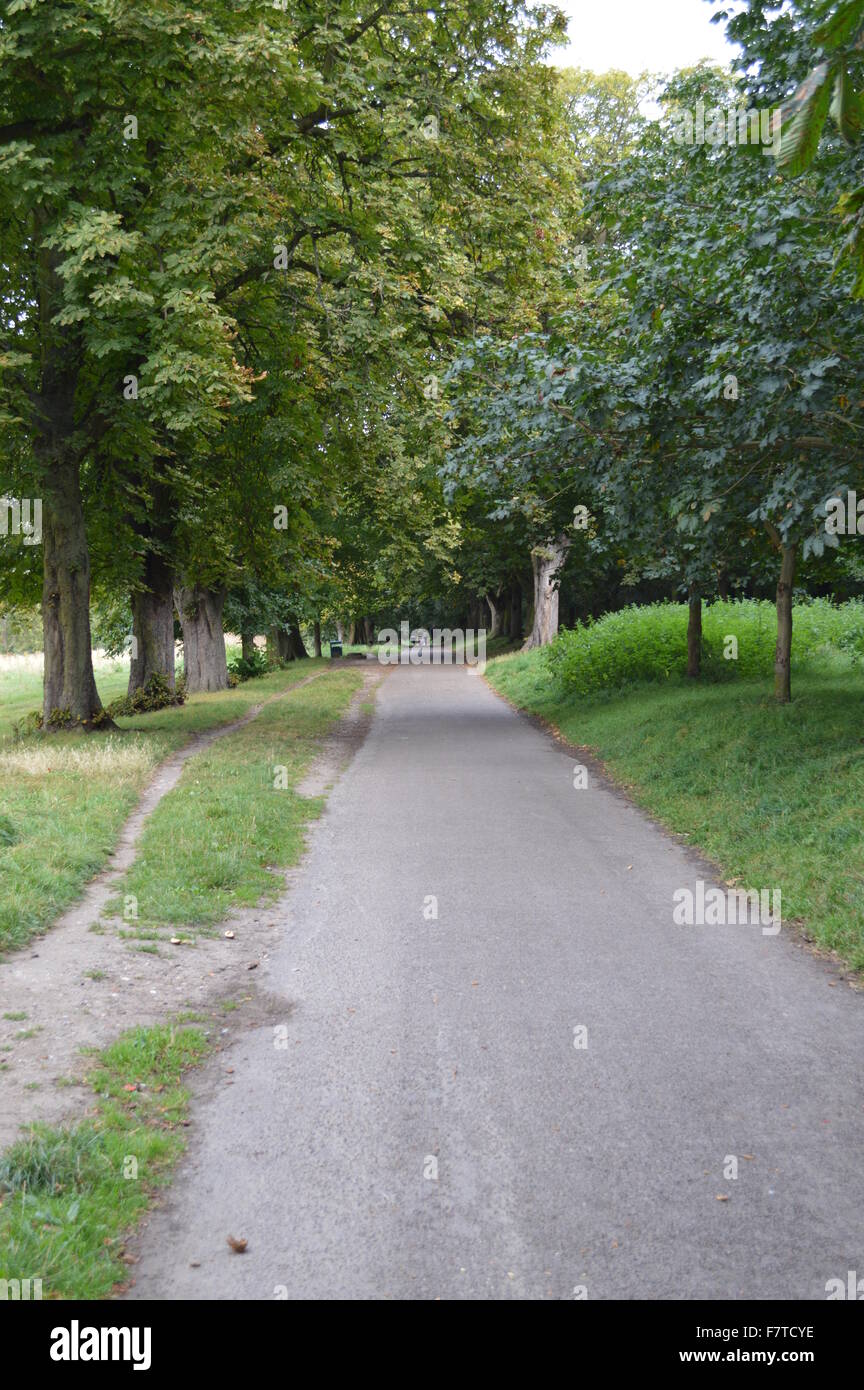 A long pathway surrounded by grass and trees in a park Stock Photo - Alamy