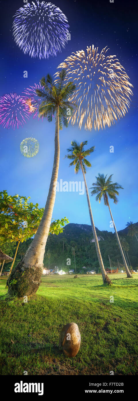 Beautiful fireworks above night tropical landscape with beautiful blue ...