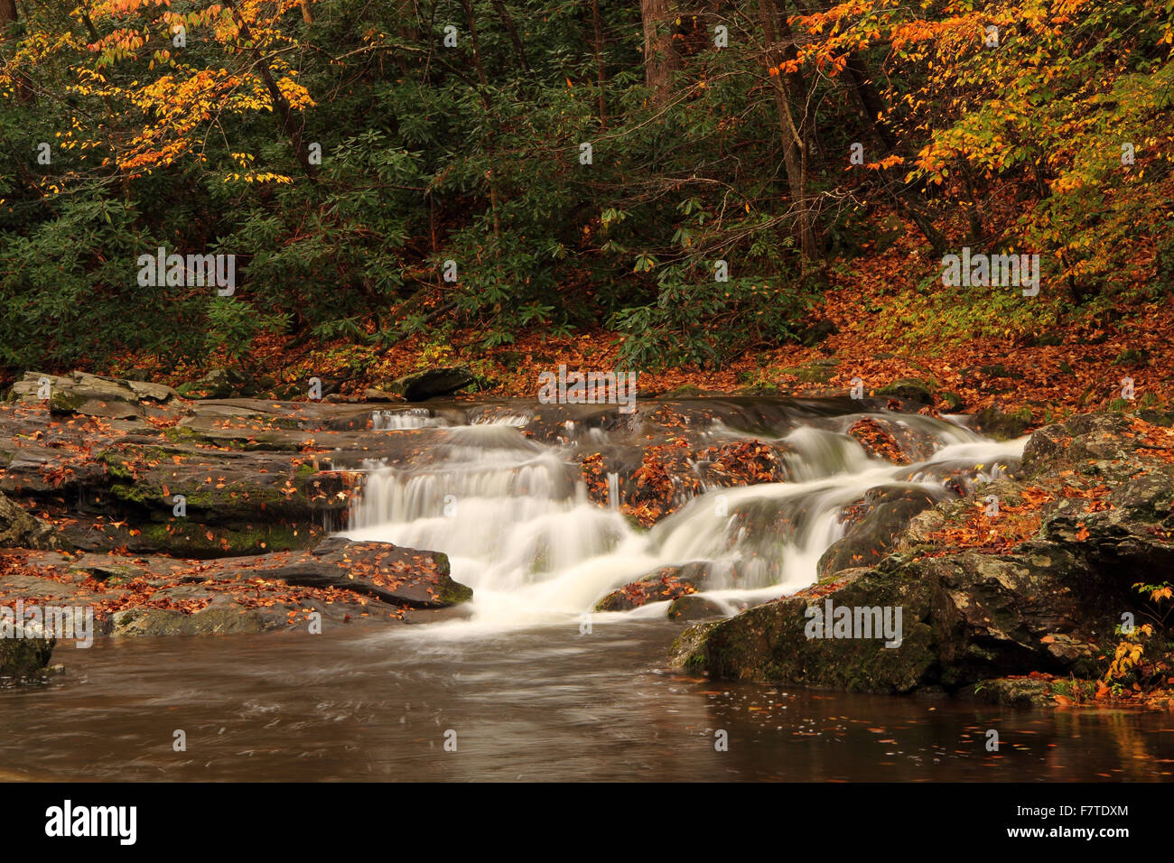 Small waterfalls along the Little River in Great Smokey Mountains ...