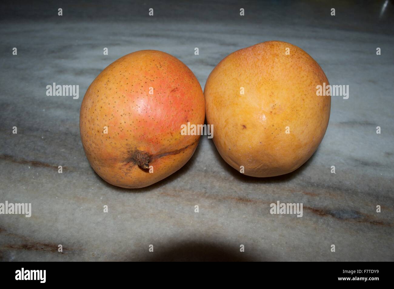 Delicious Australian Mango Big size Stock Photo - Alamy