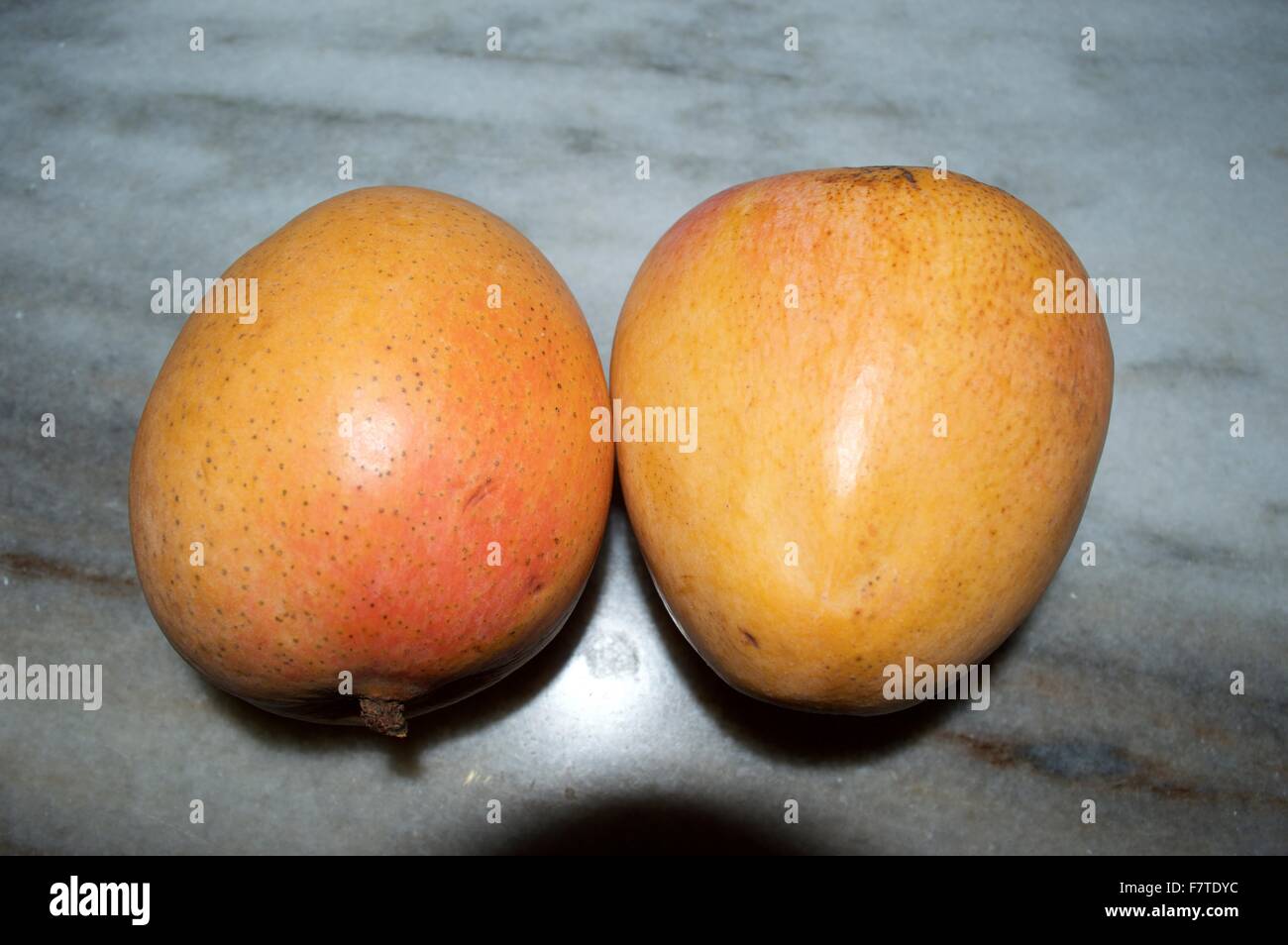 Delicious Australian Mango Big size Stock Photo - Alamy