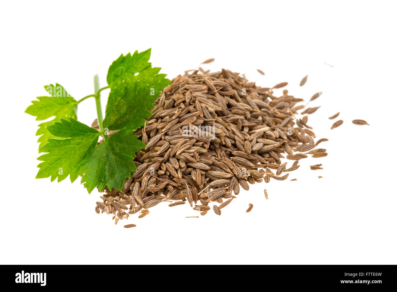 Zira seeds isolated Stock Photo - Alamy