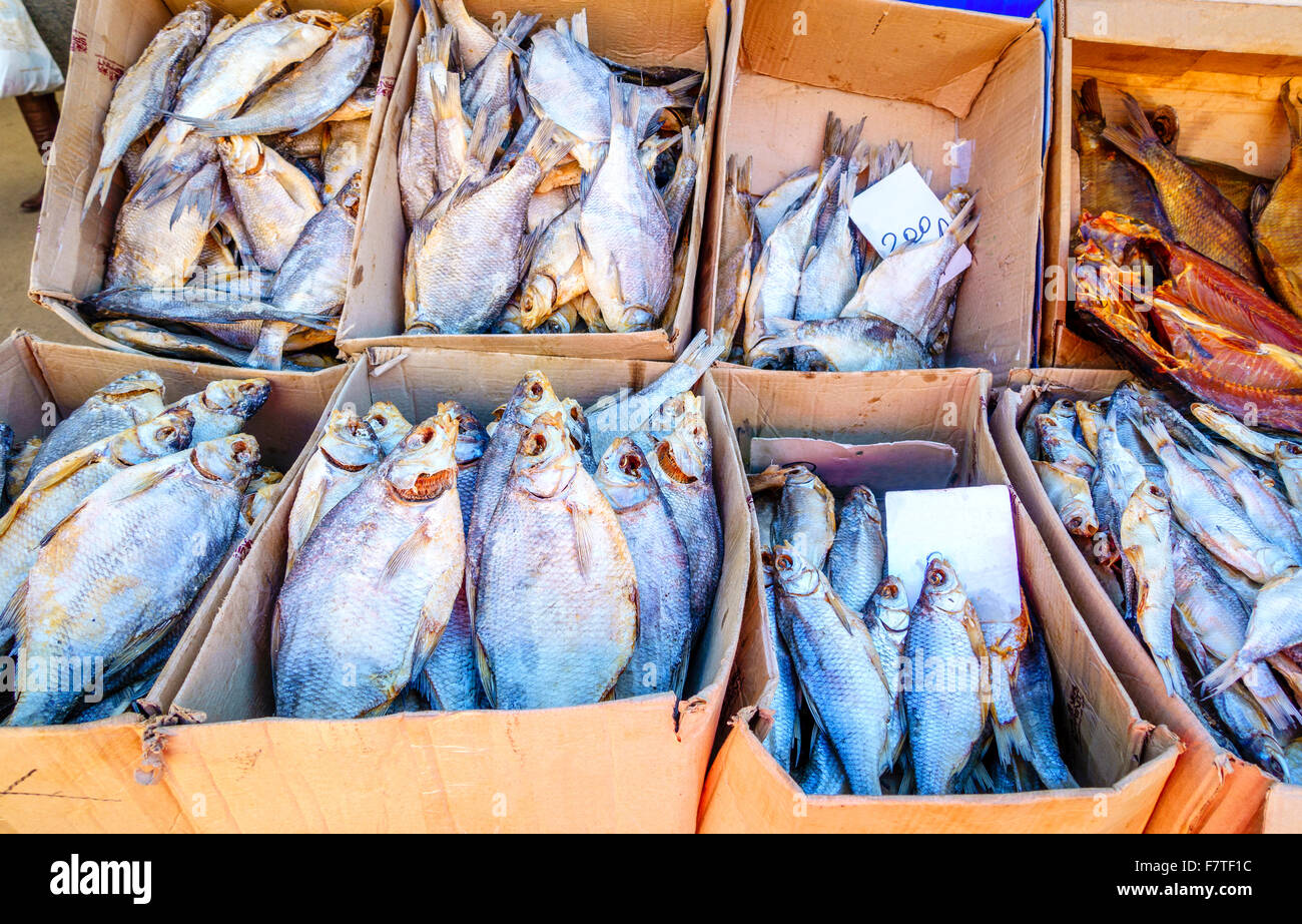 Dried salted fish at a farmers market in Pyatigorsk, Russia Stock Photo ...