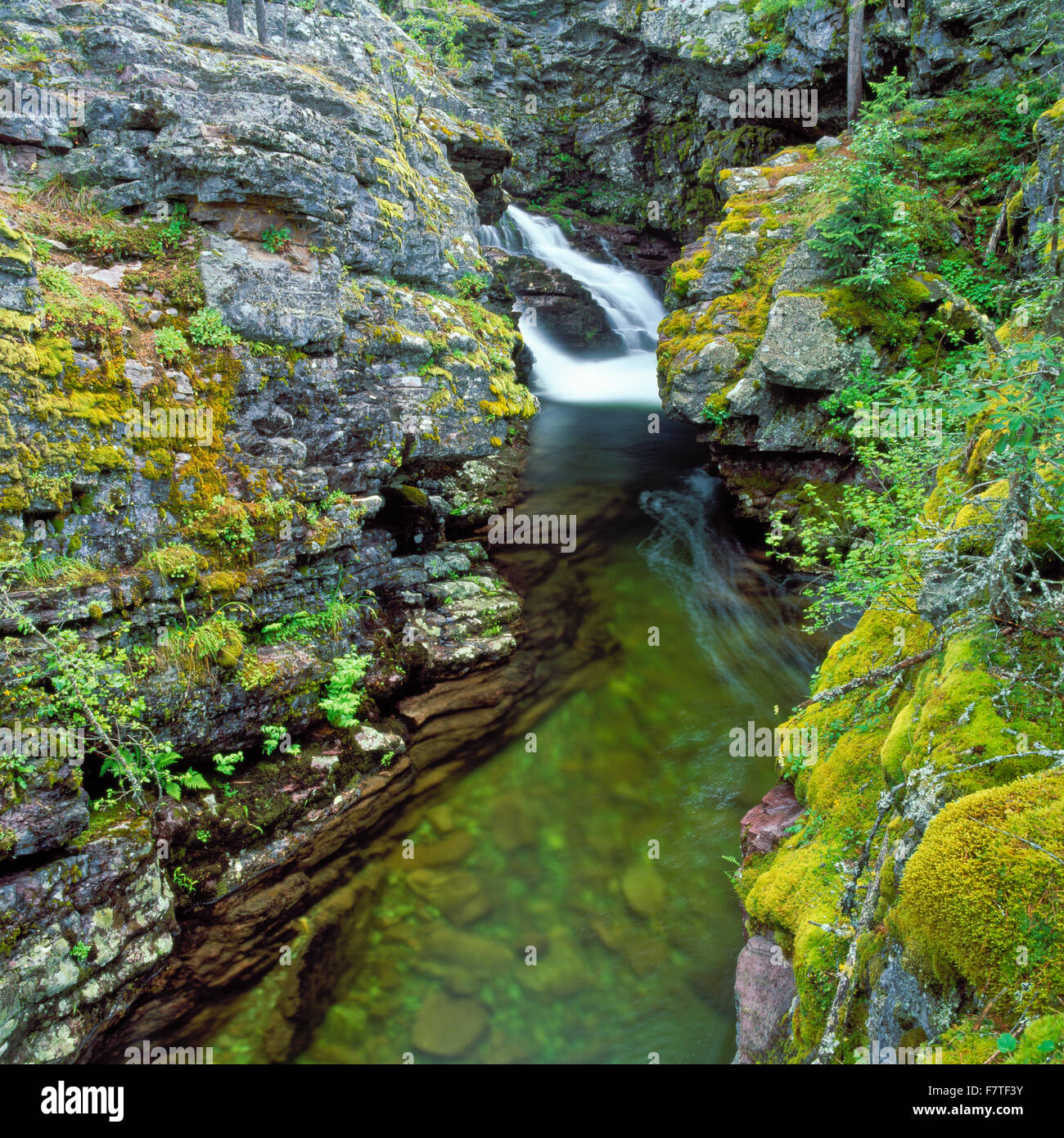 waterfall spilling into a narrow gorge on the upper jocko river near ...