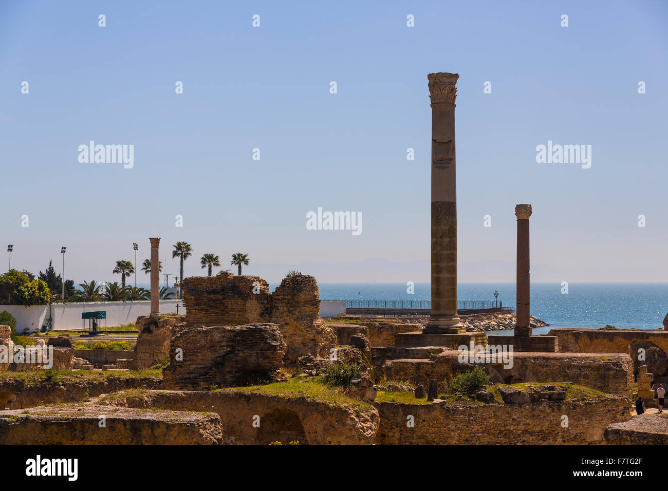 Old Carthage ruins in Tunisia Stock Photo - Alamy