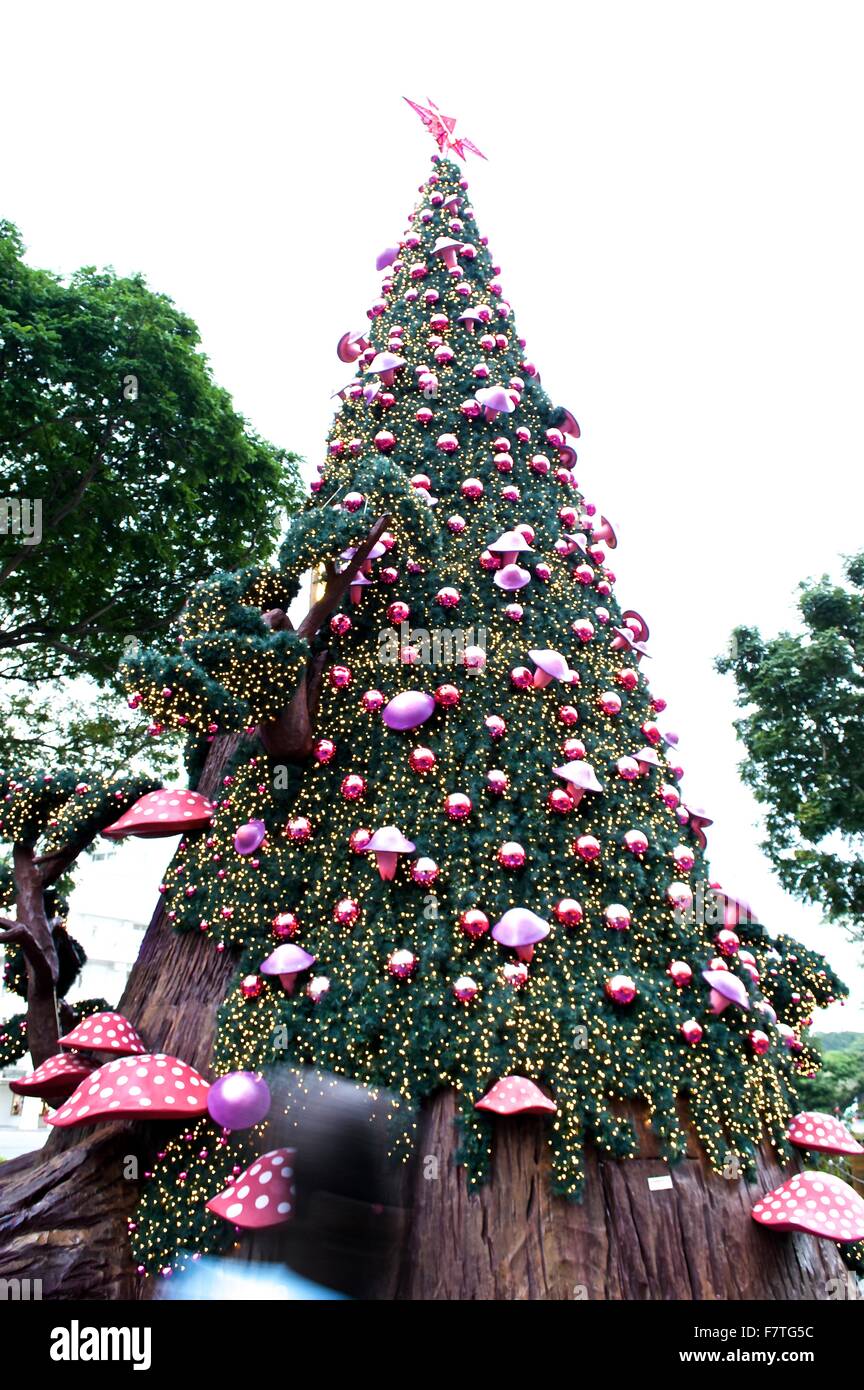 Beautiful Christmas tree outside shopping mall Stock Photo - Alamy