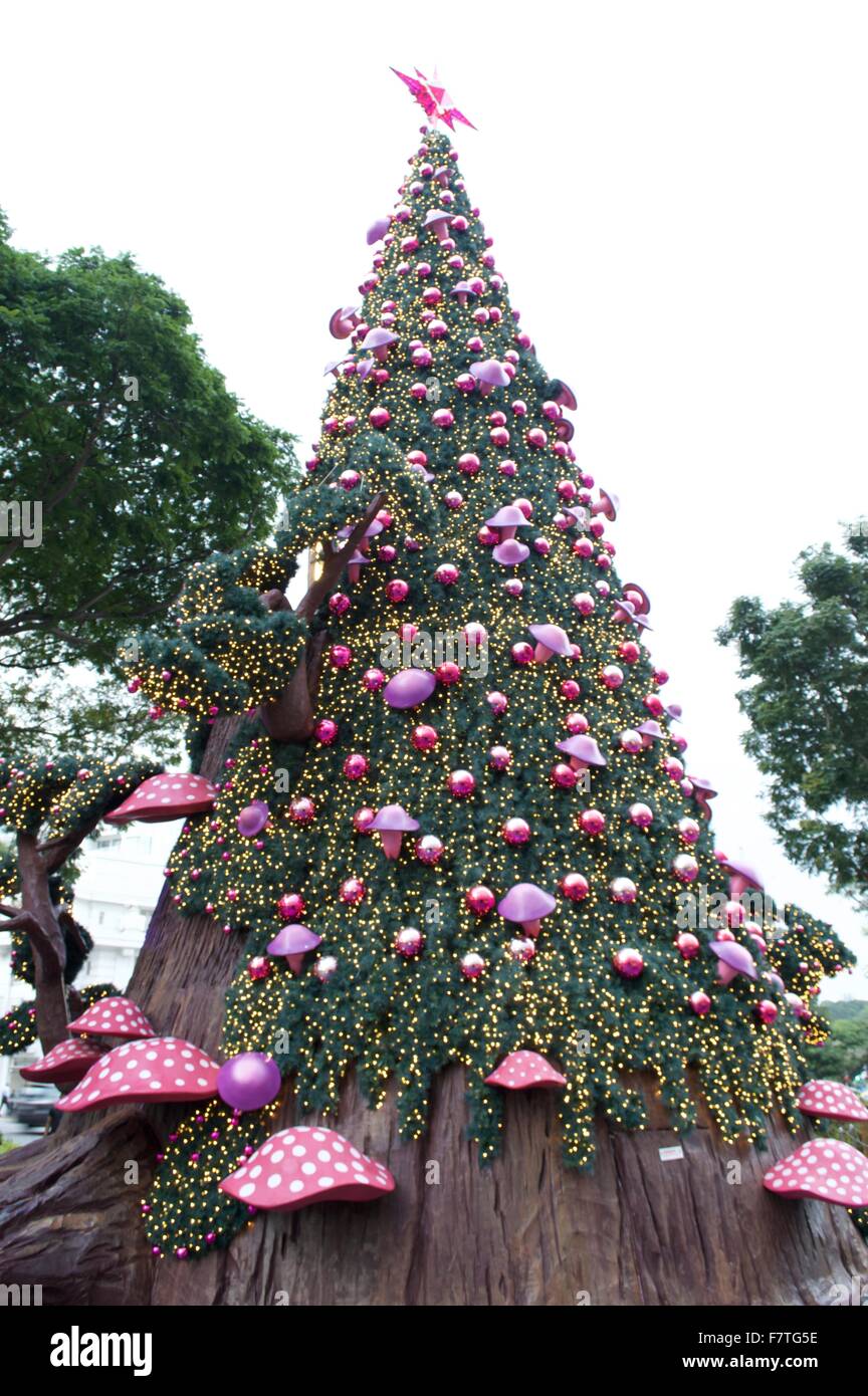 Beautiful Christmas tree outside shopping mall Stock Photo - Alamy