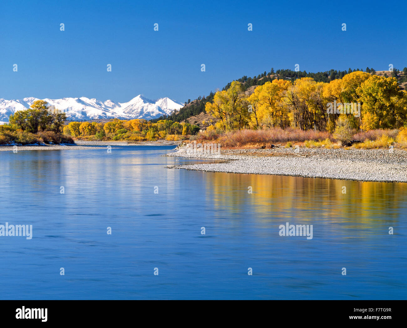 fall colors along the yellowstone river below the crazy mountains near ...