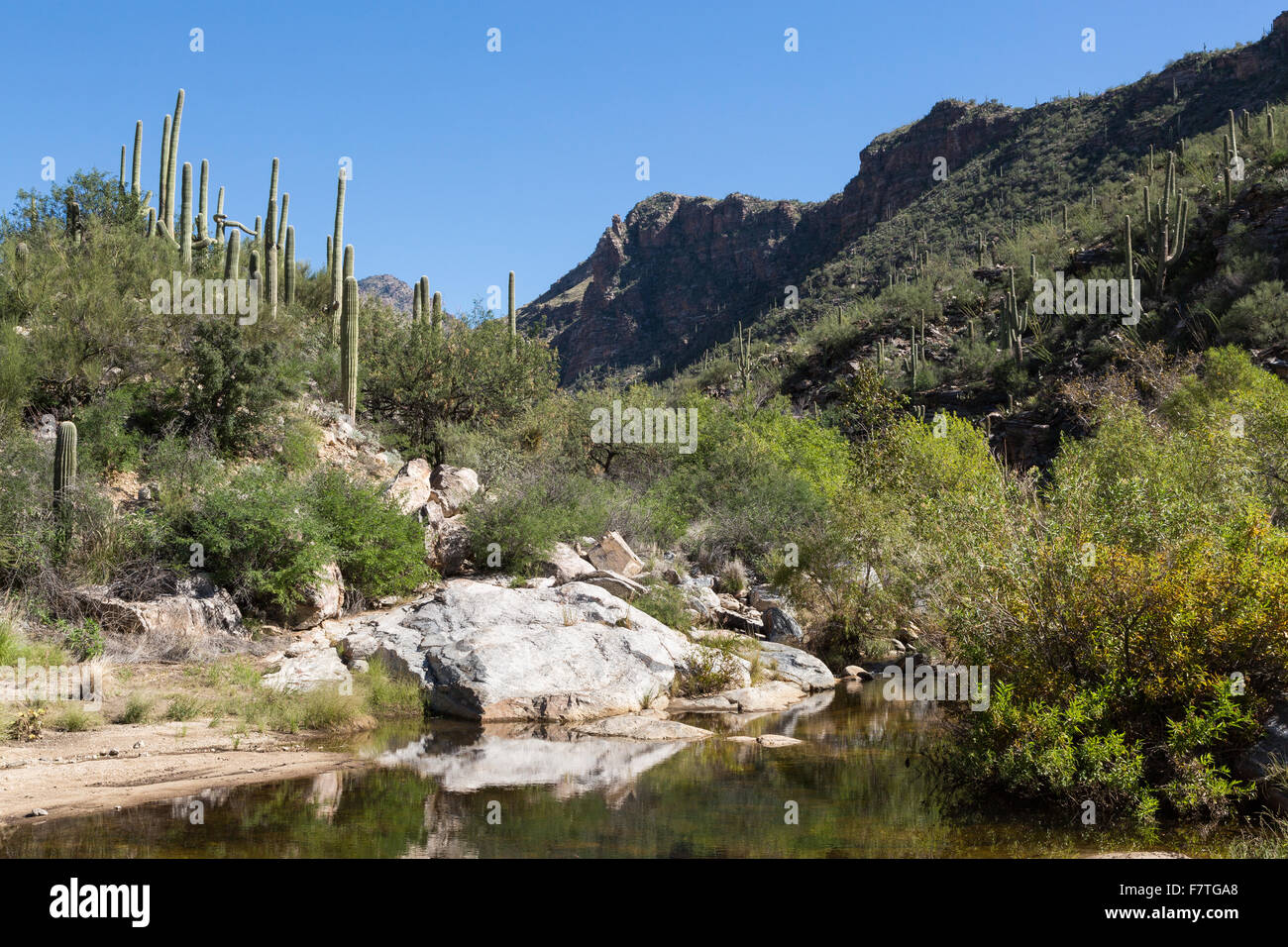 Creek sabino hi-res stock photography and images - Alamy