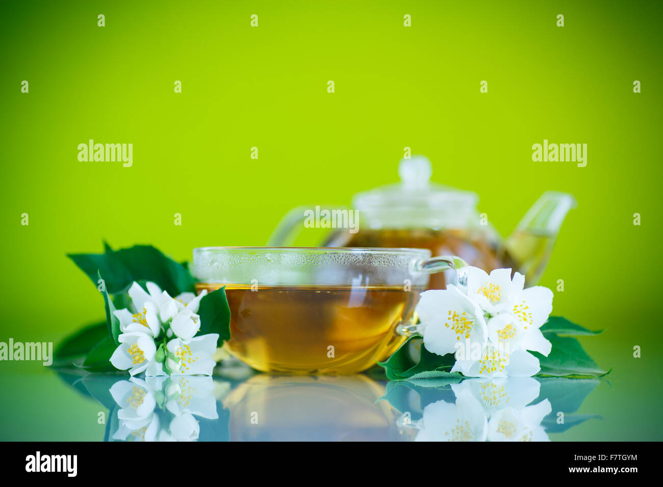 Chinese jasmine plant pot hi-res stock photography and images - Alamy