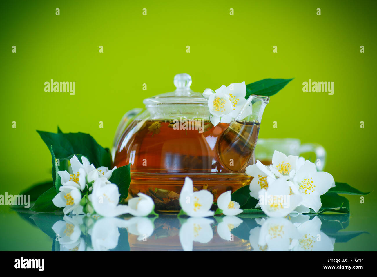 Chinese jasmine plant pot hi-res stock photography and images - Alamy