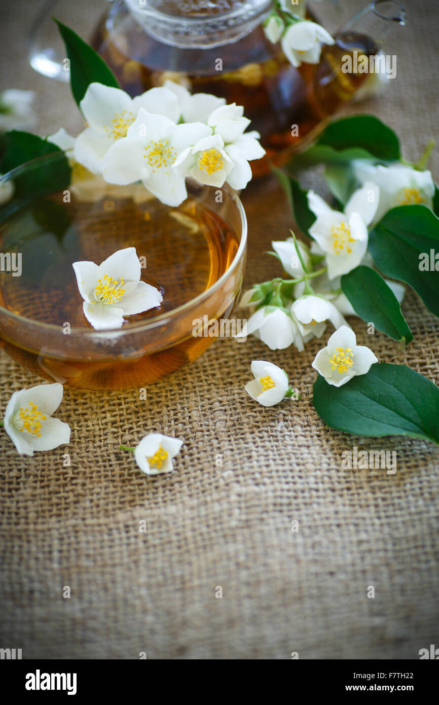 Chinese jasmine plant pot hi-res stock photography and images - Alamy