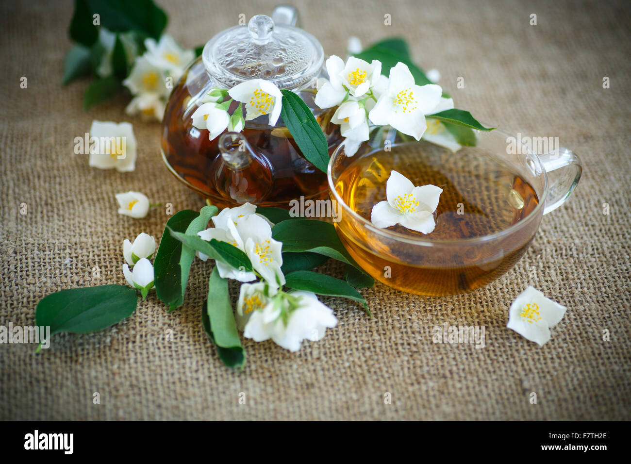 Chinese jasmine plant pot hi-res stock photography and images - Alamy
