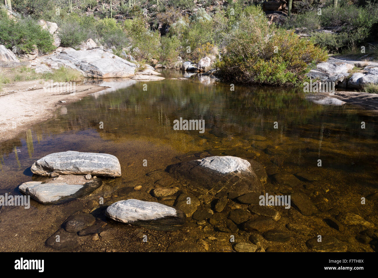 Creek sabino hi-res stock photography and images - Alamy