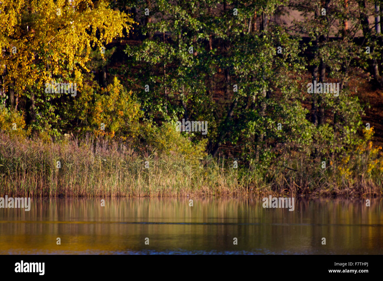 Colorful autumn trees fortress at the river front Stock Photo - Alamy