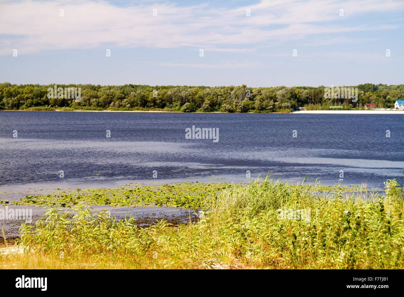 Dnipro river coast in Ukraine Stock Photo - Alamy