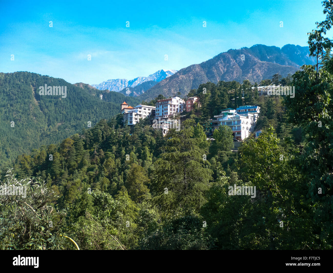 Ganj hi-res stock photography and images - Alamy