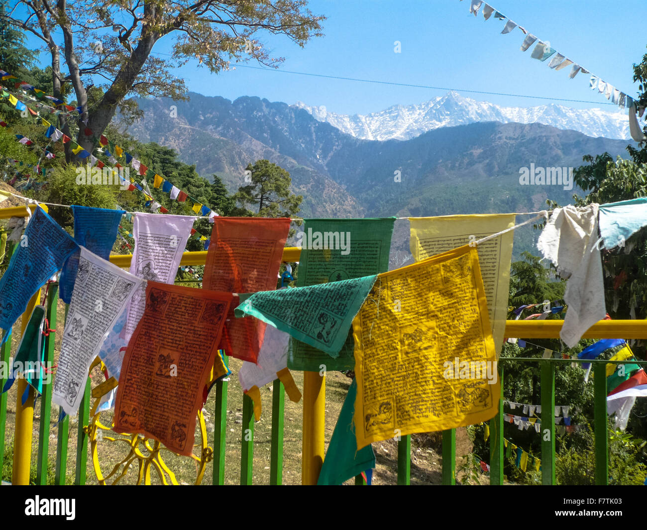 Prayer flags himachal pradesh india hi-res stock photography and images ...