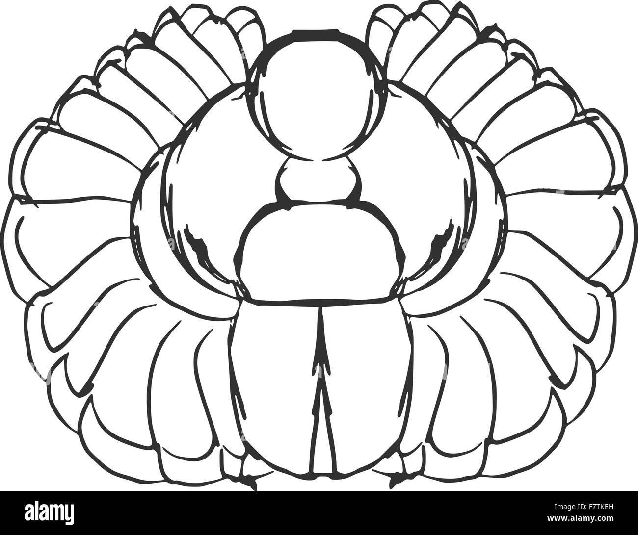 Beetle retro Stock Vector Images - Alamy