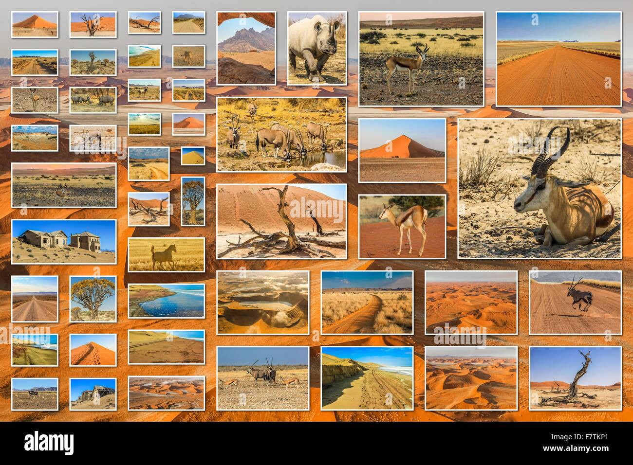 Namibia desert collage Stock Photo, Royalty Free Image: 90896793 - Alamy