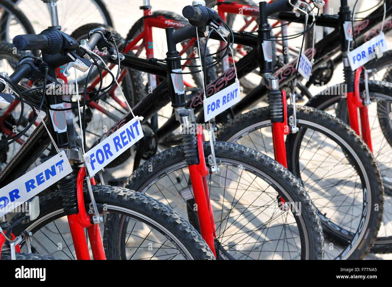 Bicycles lined up and ready for rent Stock Photo - Alamy