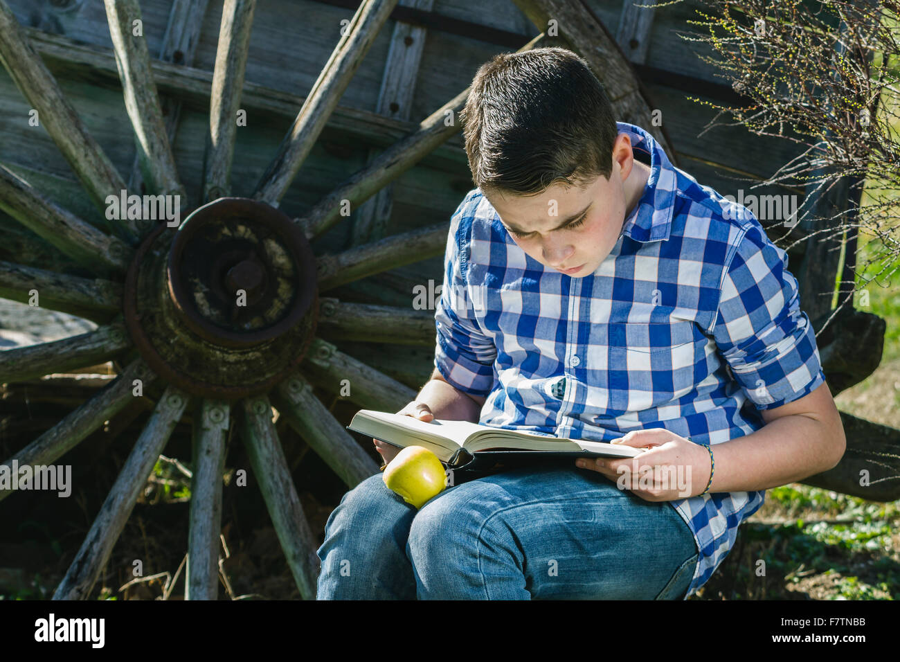 Cowboy young reading a book Stock Photo - Alamy